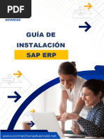 Cambio de Interfaz de SAP GUI | PDF | Informática