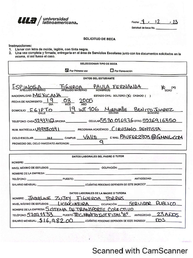 Solicitud Beca | PDF