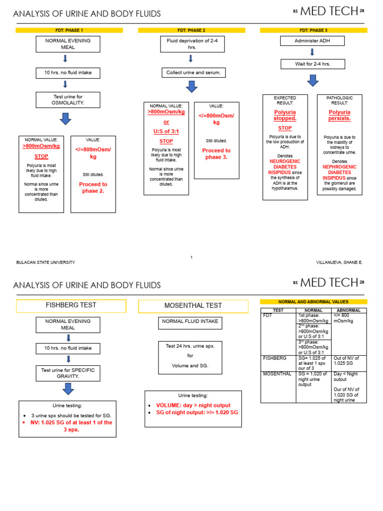 L2 - Renal Function Tests Flowcharts | PDF