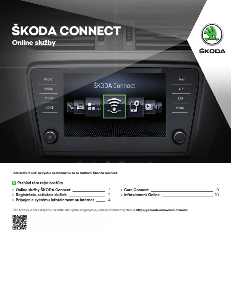 Skoda Connect Kosten