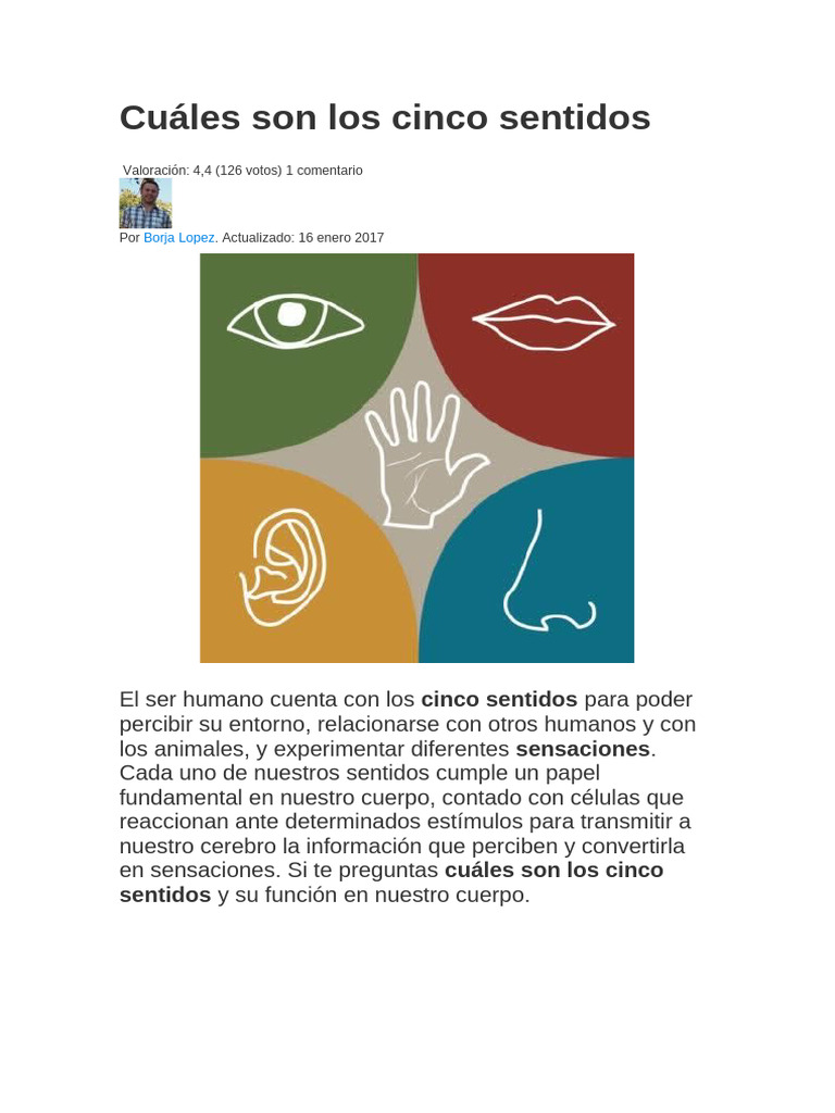 Los cinco sentidos humanos y su función | PDF | Gusto | Sentidos