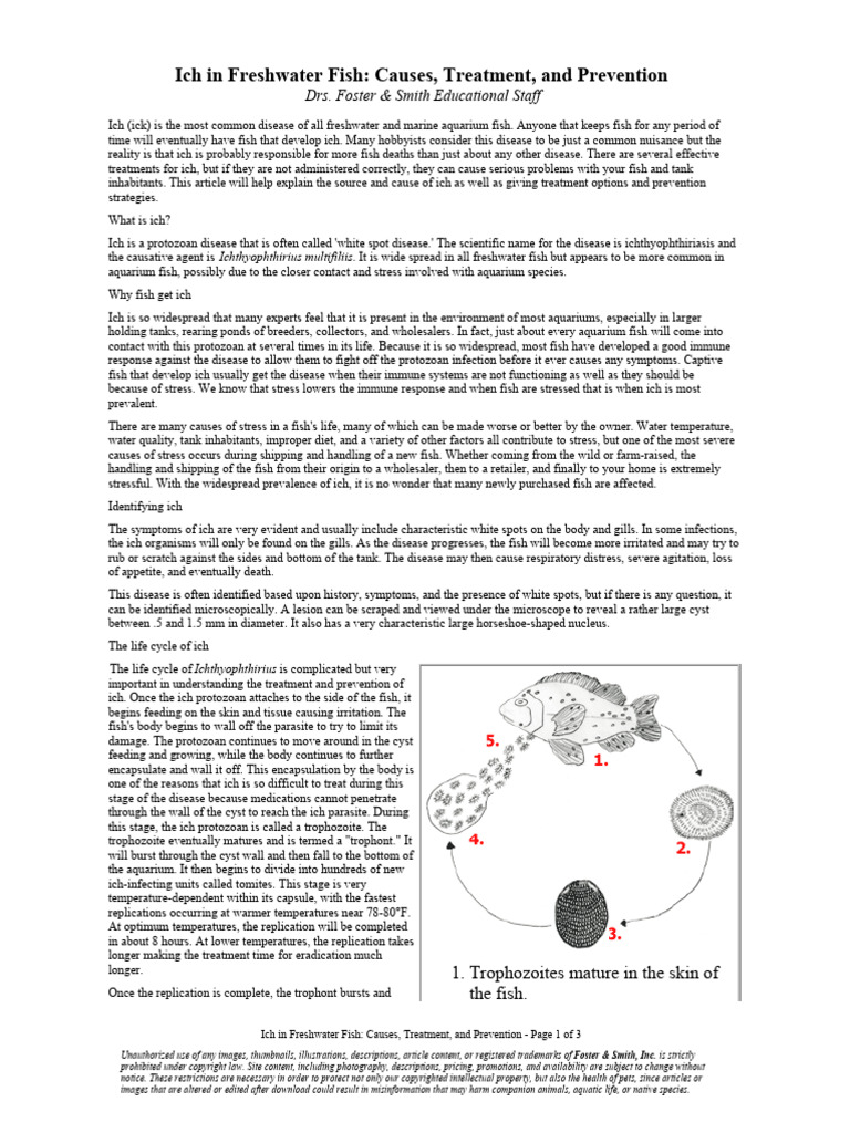 Ich in Freshwater Fish Causes Treatment and Prevention | PDF Ich in Freshwater Fish Causes Treatment and Prevention | PDF