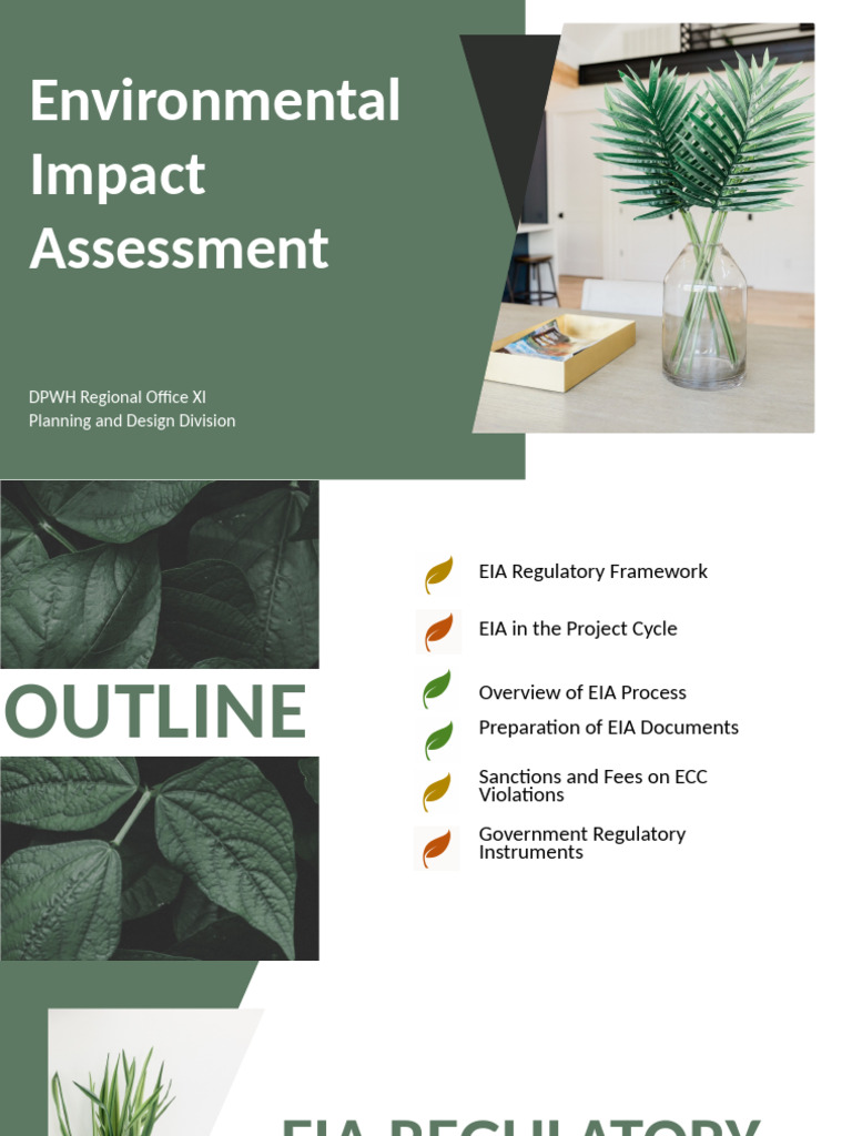 EIA Regulations in the Philippines | PDF | Environmental Impact ...