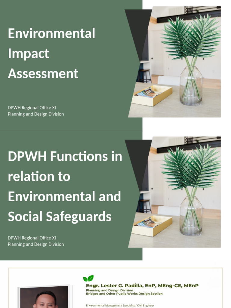 DPWH Environmental and Social Safeguards Functions Final | PDF ...