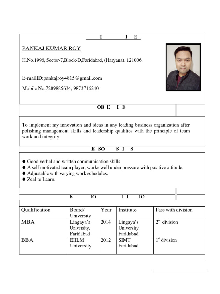 Pankaj Resum Update July 2024 | PDF