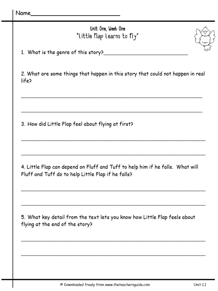 Little Flap Learns To Fly Comp Test | PDF