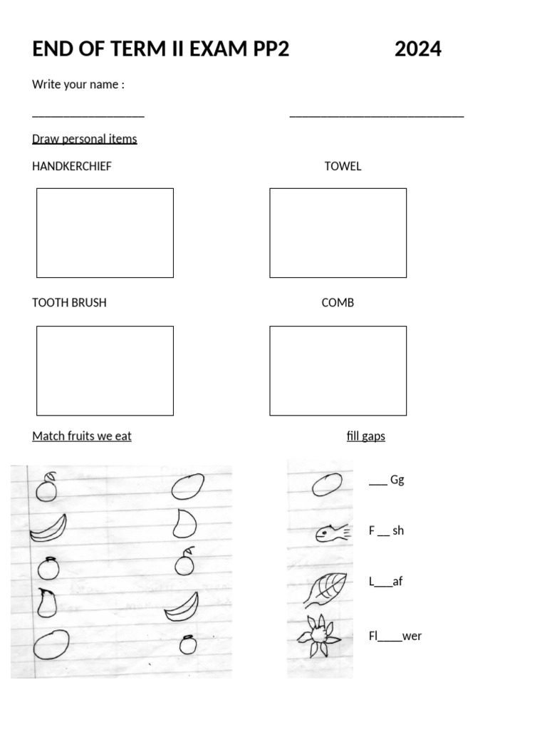 End of Term Ii Exam PP2 2024 | PDF