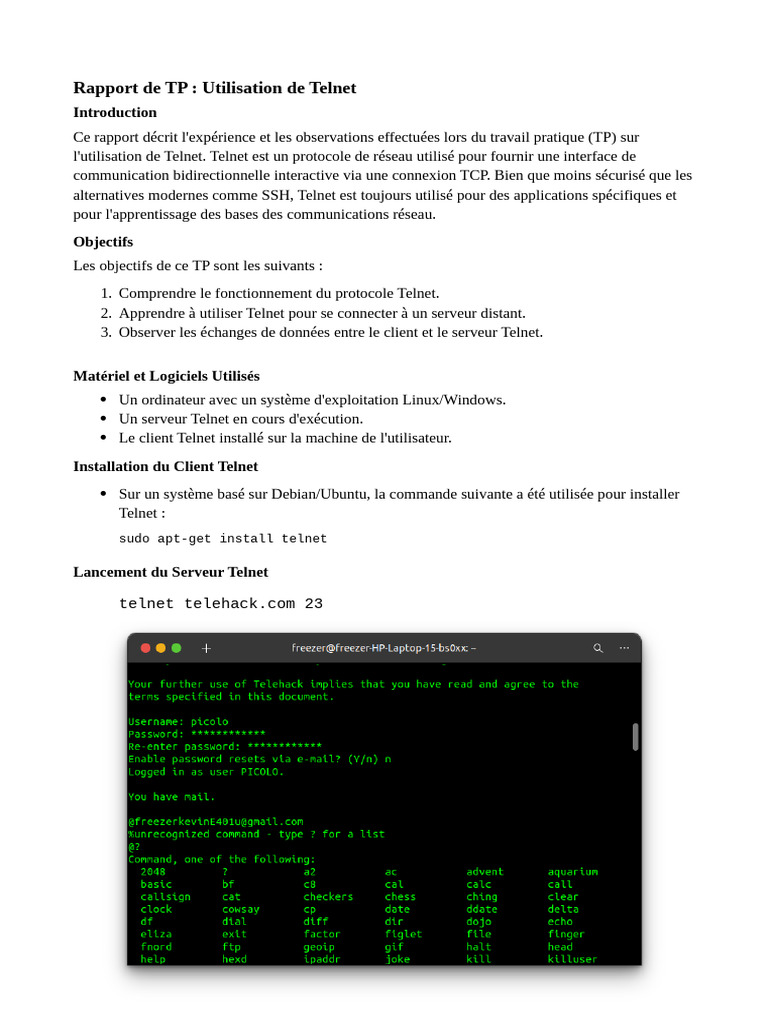 TP Protocol D'application | PDF