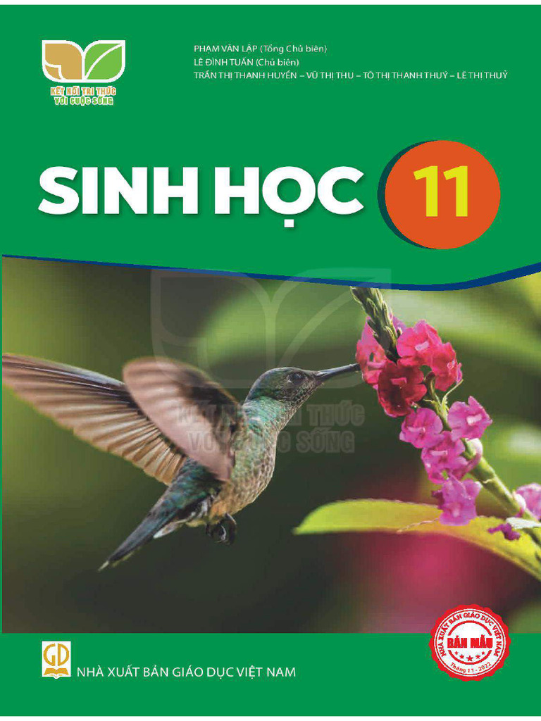 Sinh Học 11 KNTT | PDF