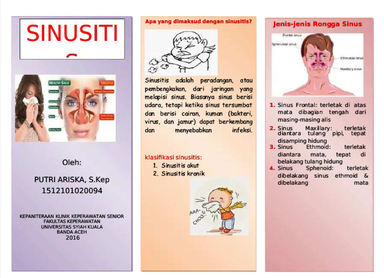 PDF Leaflet Sinusitis - Compress | PDF