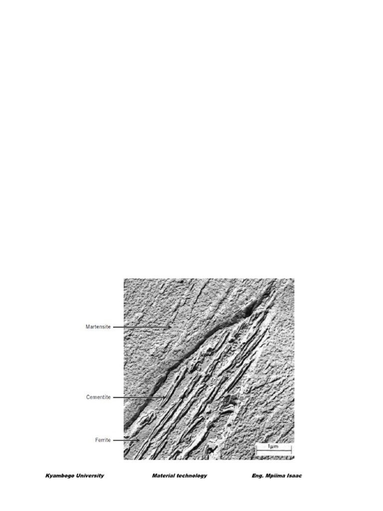 Chapter 1 CTD 2 | PDF