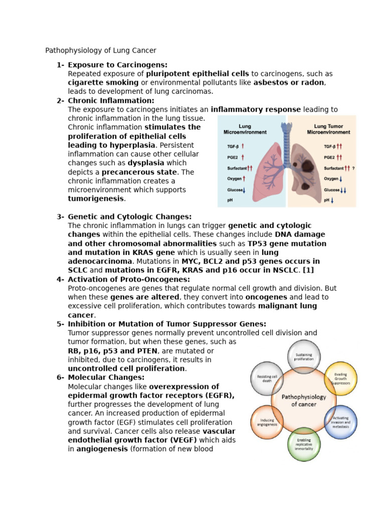 Clinical Pharmacy. Pathophysiology of Lung Cancer | PDF