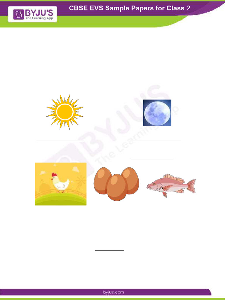 CBSE Sample Paper for Class 2 EVS Er | PDF