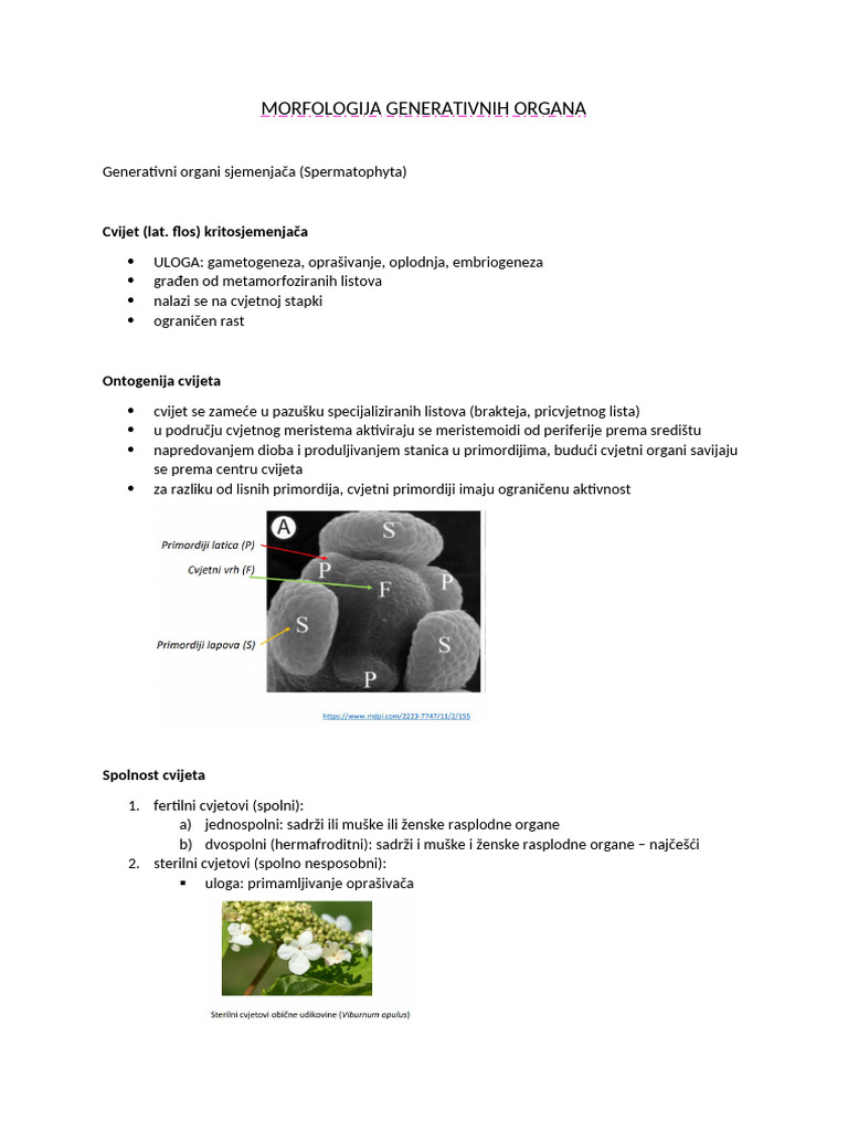 Morfologija Generativnih Organa | PDF