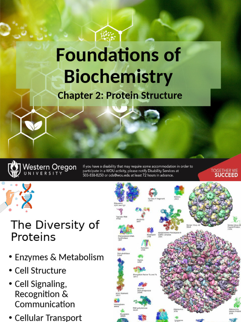 Chapter 2 Slides | PDF