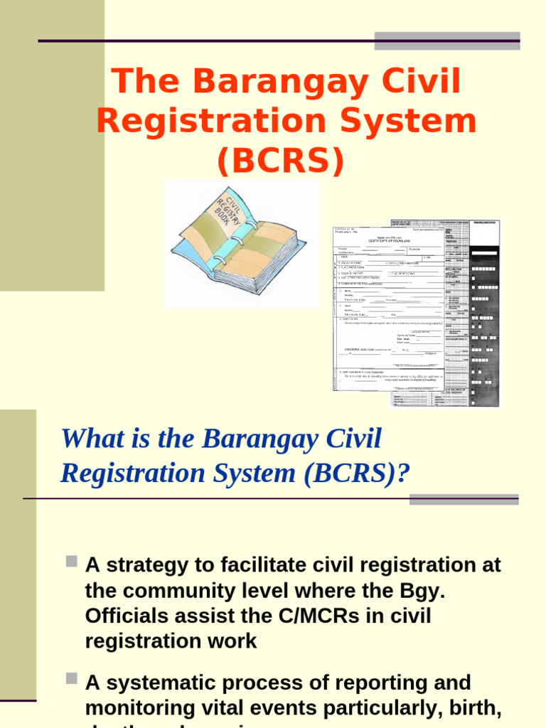 BCRS Presentation | PDF
