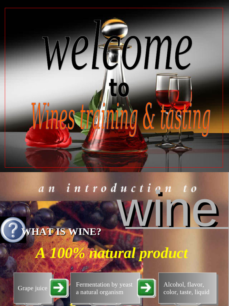 Basic Wine Knowledge | PDF