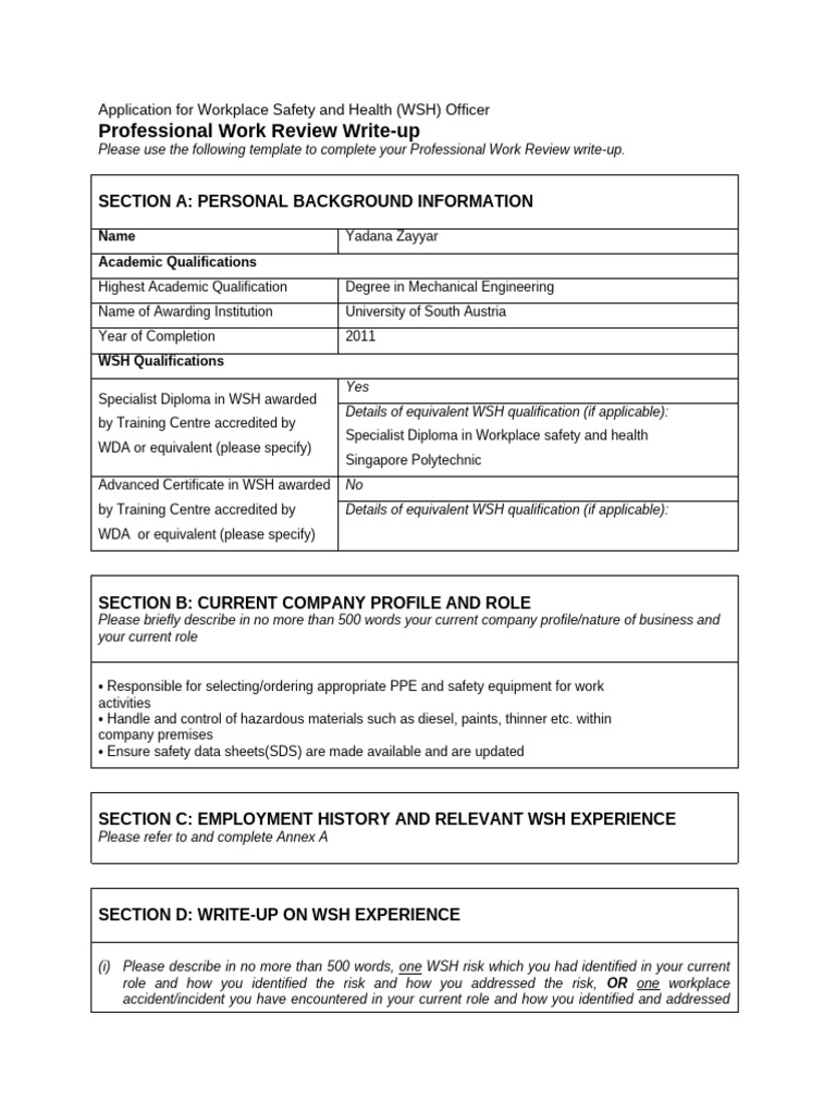 WSHO Professional Review Writeup Template | PDF
