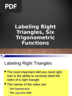 Trigonometry Worksheet T1 - Labelling Triangles | PDF