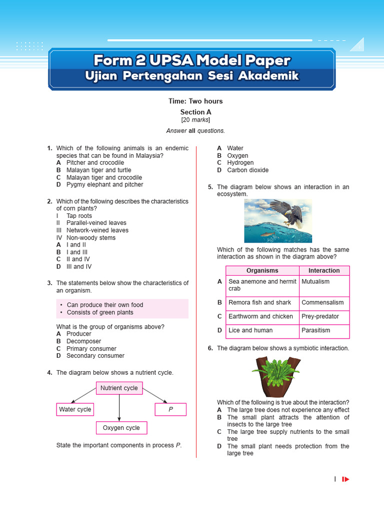 Form 2 UPSA | PDF