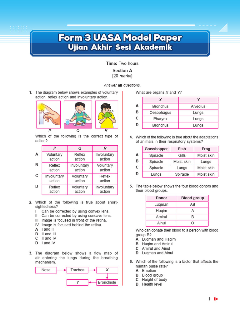 Form 3 UASA | PDF
