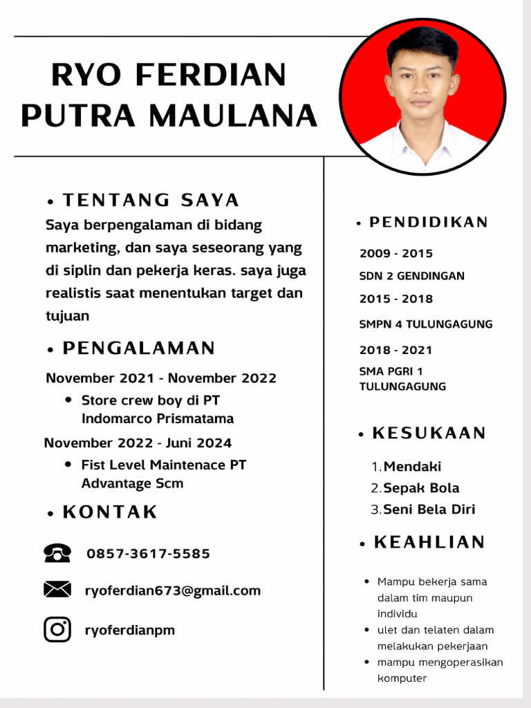 Cv Ryo Ferdian | PDF