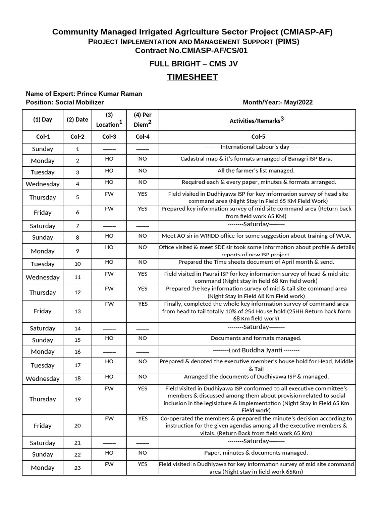 Time Sheet Format-PIMS | PDF