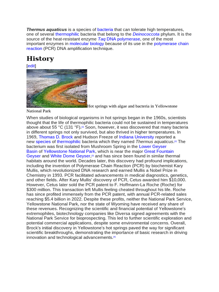 Thermus aquaticus | PDF