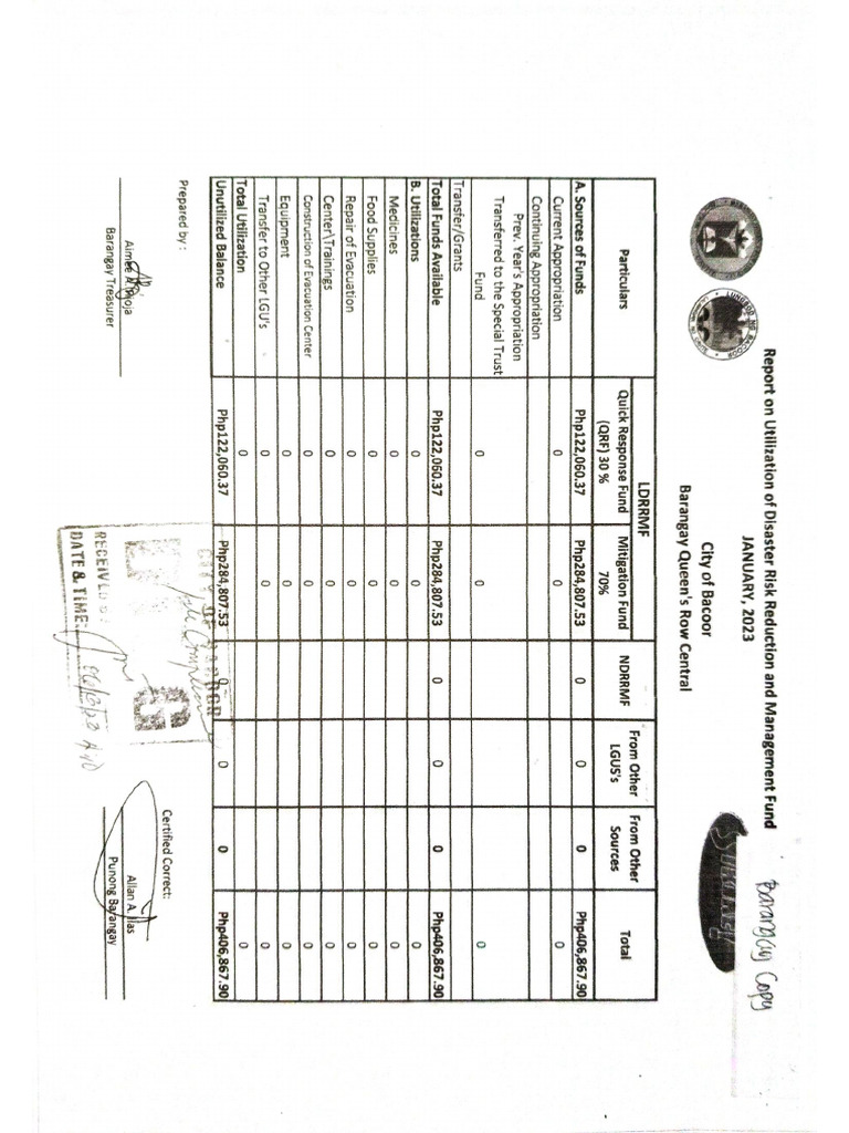 DRRM Utilization | PDF