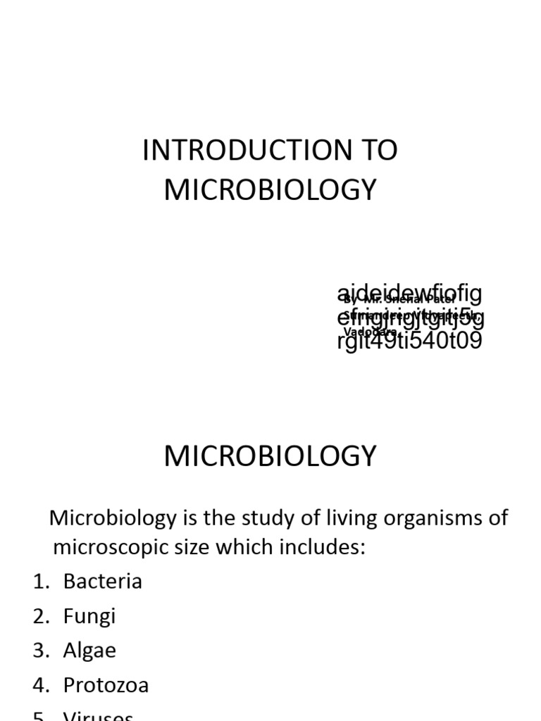 Micro History | PDF