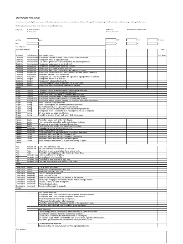 Great Place To Work Survey Form | PDF