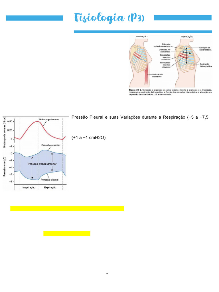 Fisiologia Respiratória PDF Corrigido | PDF