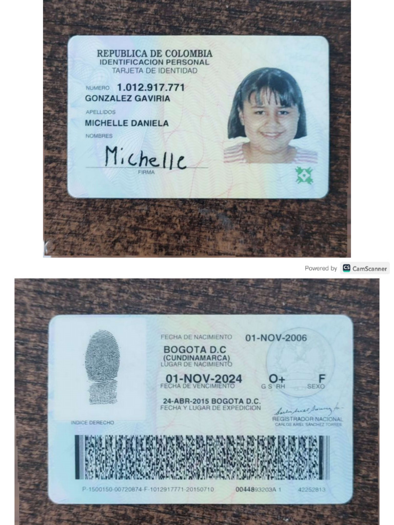 Documento Michelle | PDF