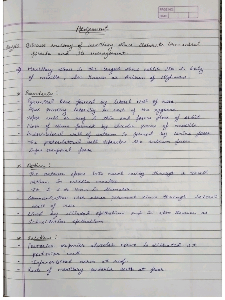 Bhavya (OS Assignment) | PDF