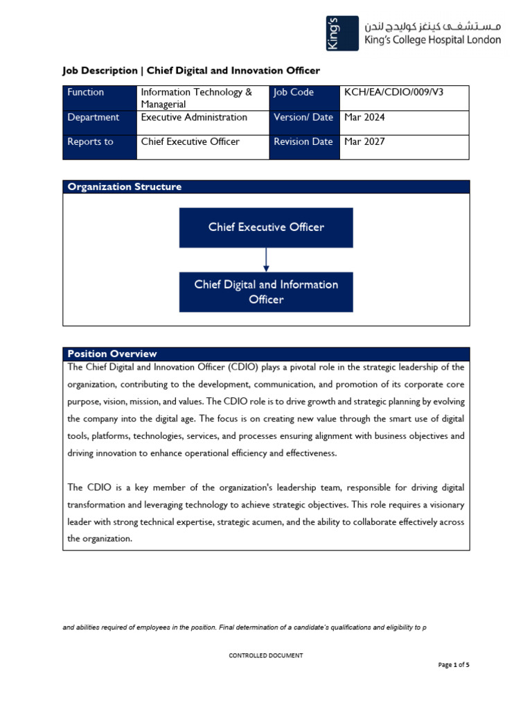 Chief Digital and Information Officer | PDF