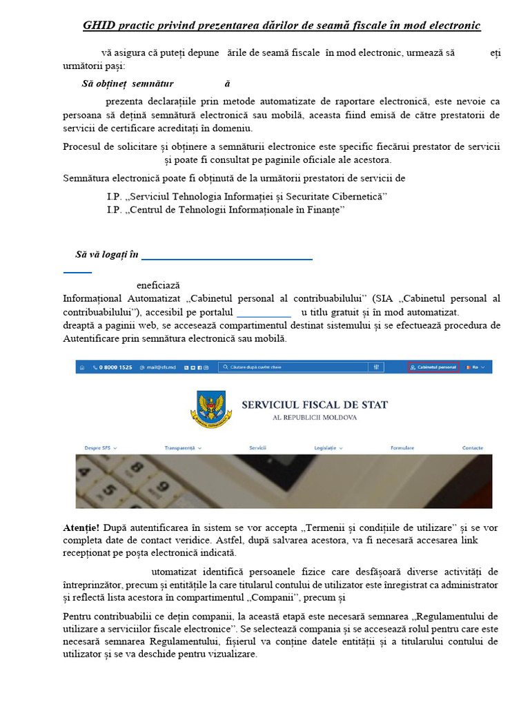Ghid Practic Dări de Seamă În Mod Electronic | PDF