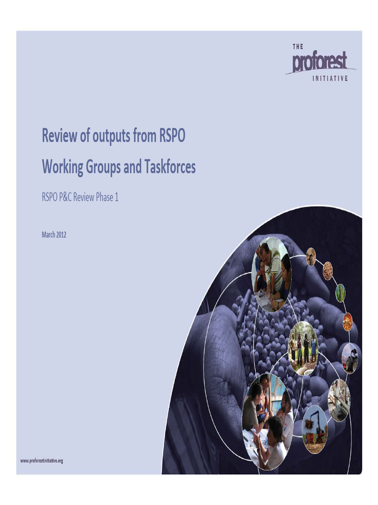RSPO - Phase 1 - Specific - by Principle | PDF