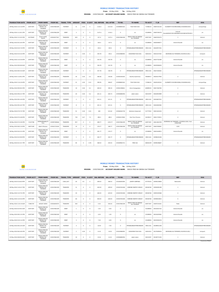 Momo Statement Report | PDF
