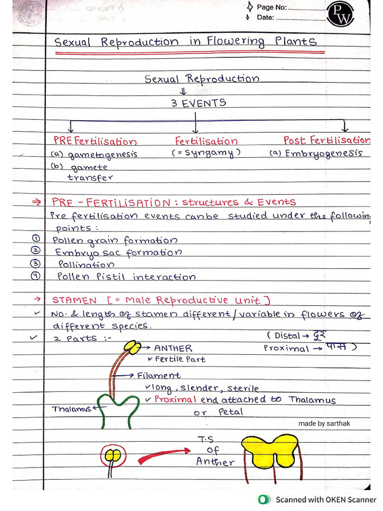 Sexual Reproduction in Flowering Plants - Handwritten Notes - Yakeen 3. ... Sexual Reproduction in Flowering Plants - Handwritten Notes - Yakeen 3. ...