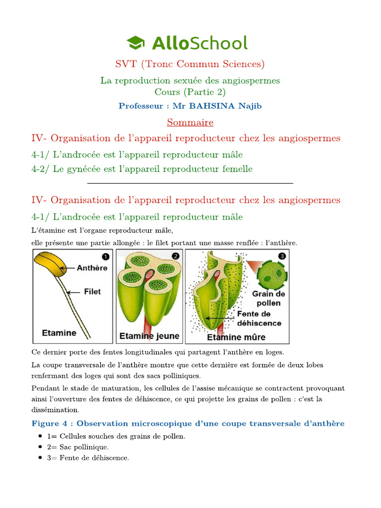 Cours 6 2 La Reproduction Sexuee Des Angiospermes Partie 2 2 | PDF