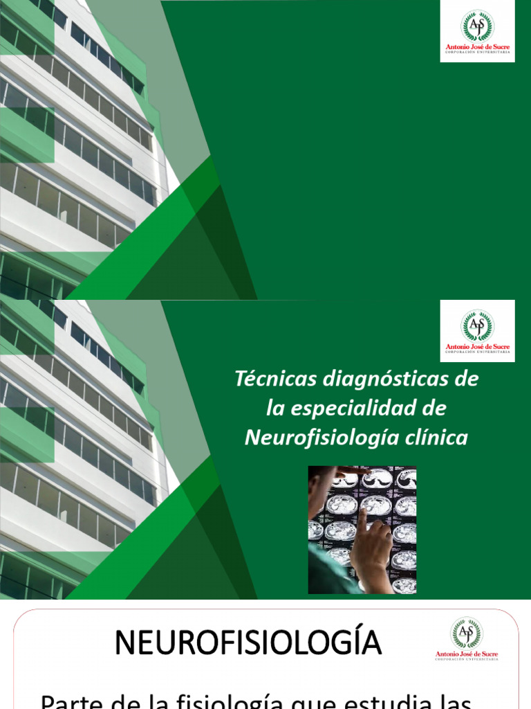 Técnicas Neurofisiológicas 2024 | PDF