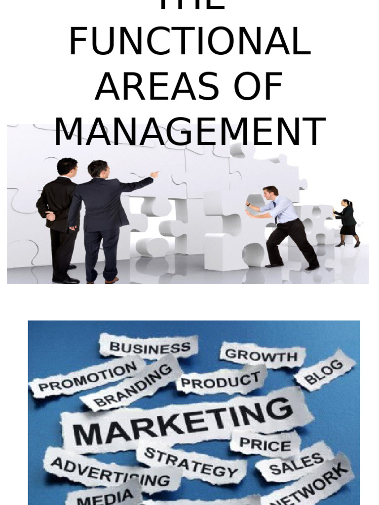 The Functional Areas of Management | PDF | Human Resources | Human ...