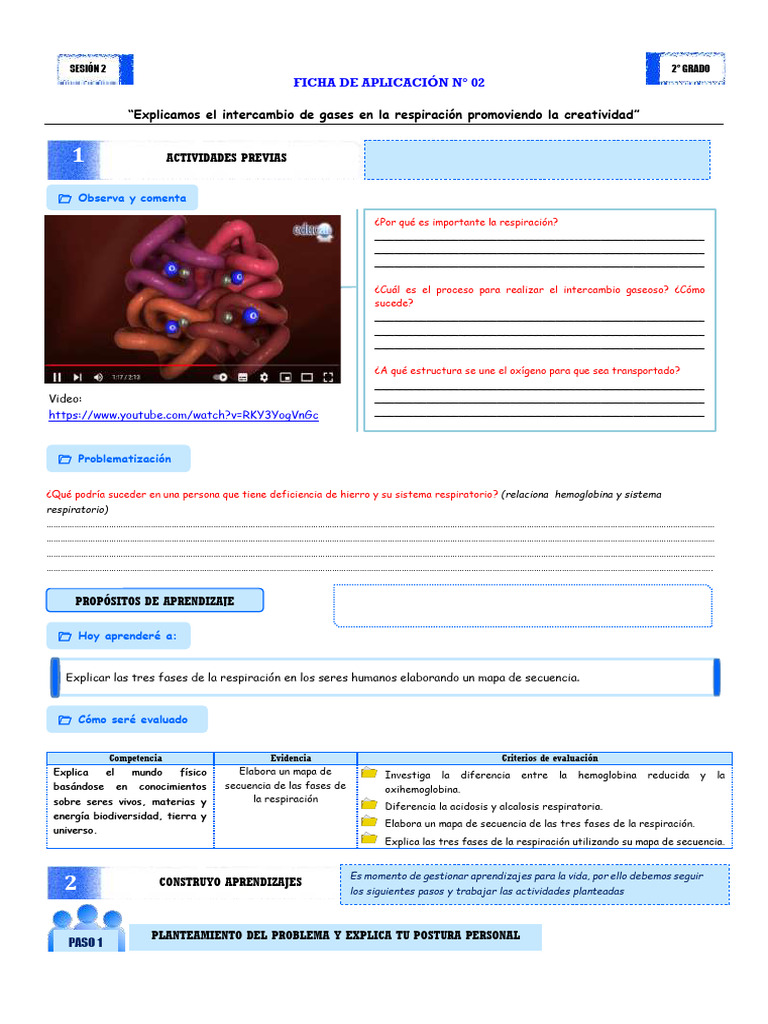 FICHA 2 - Explicamos El Intercambio de Gases en La Respiración Promoviendo La Creatividad - CYT ...