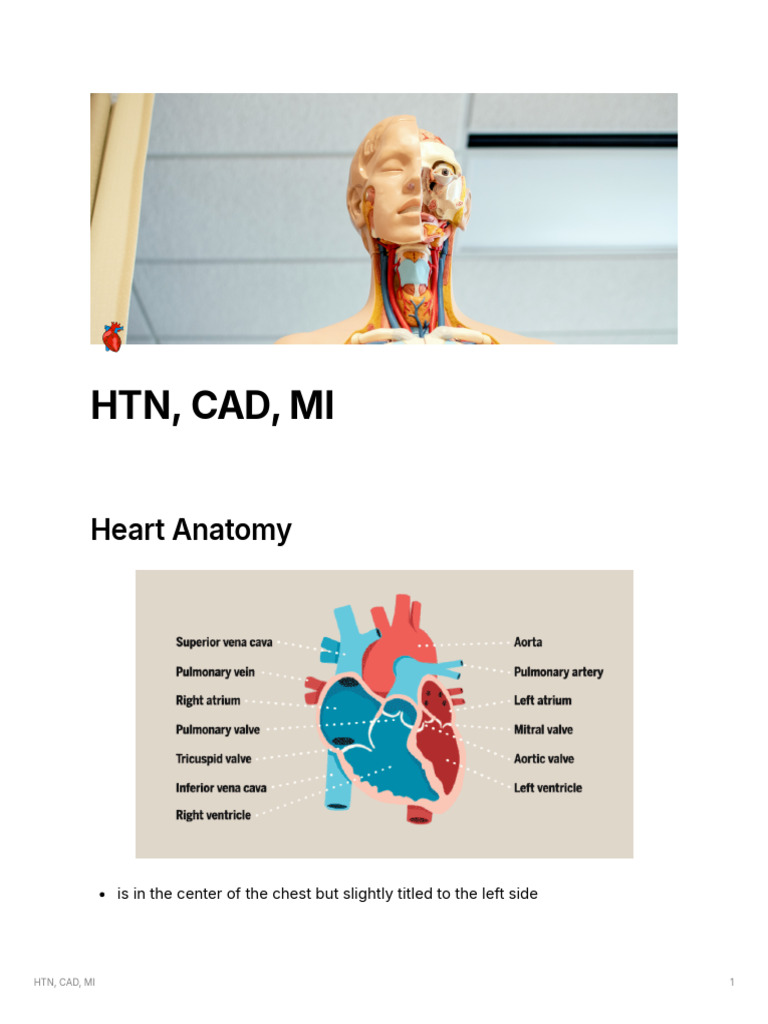 HTN, Cad, Mi | PDF