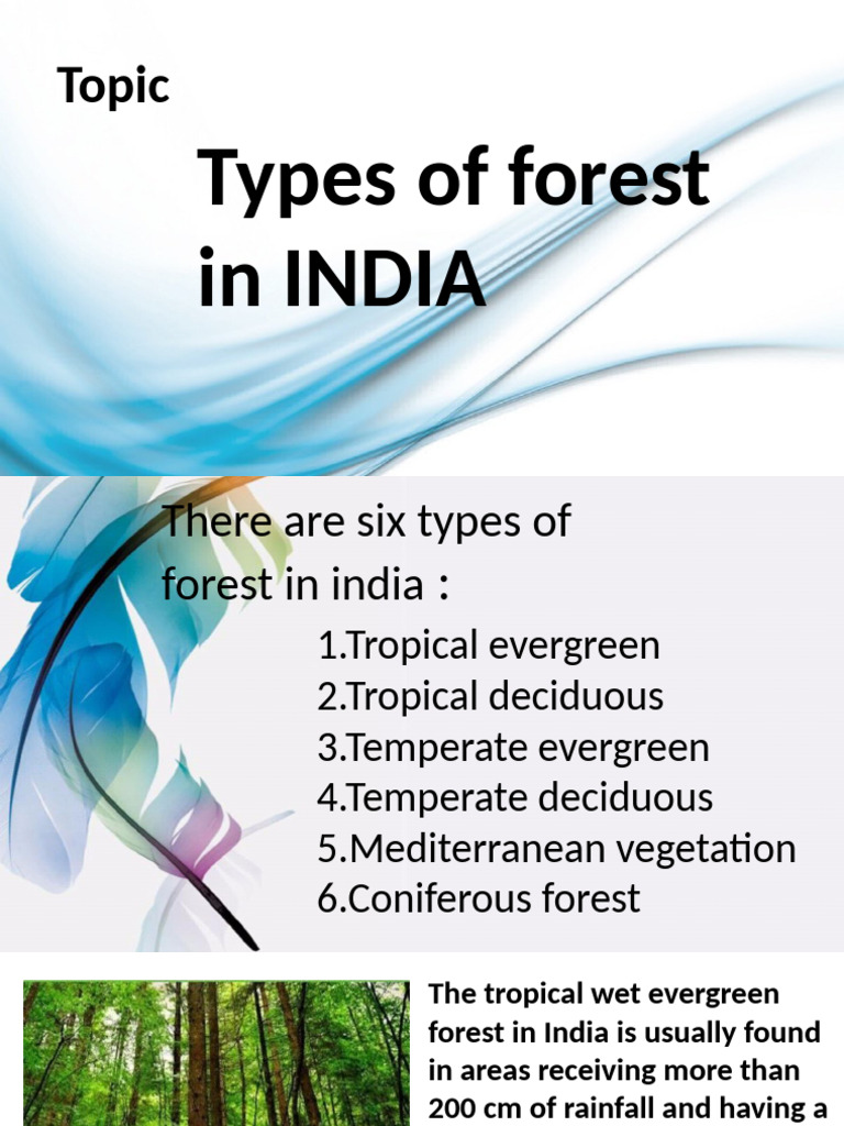 Types of Forest in India Powerpoint Presentation by Rajveer Singh - 7th ...