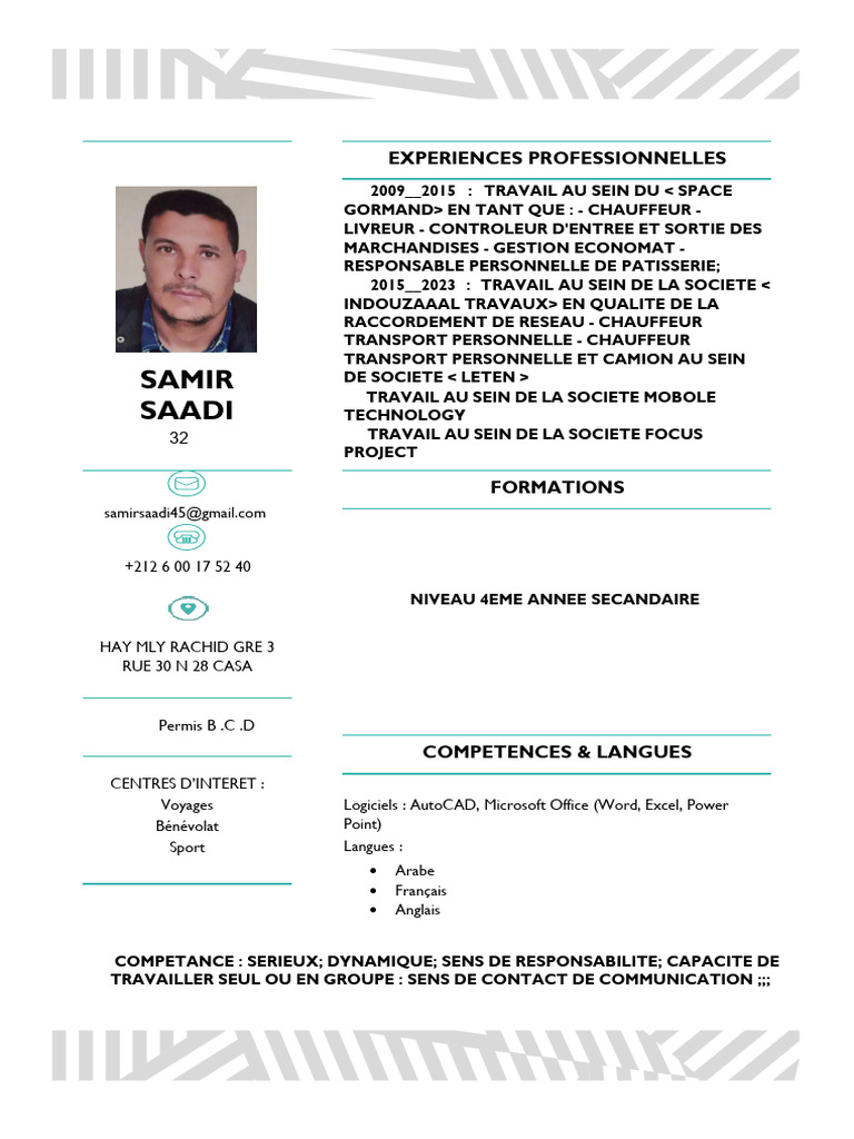 Samir CV | PDF