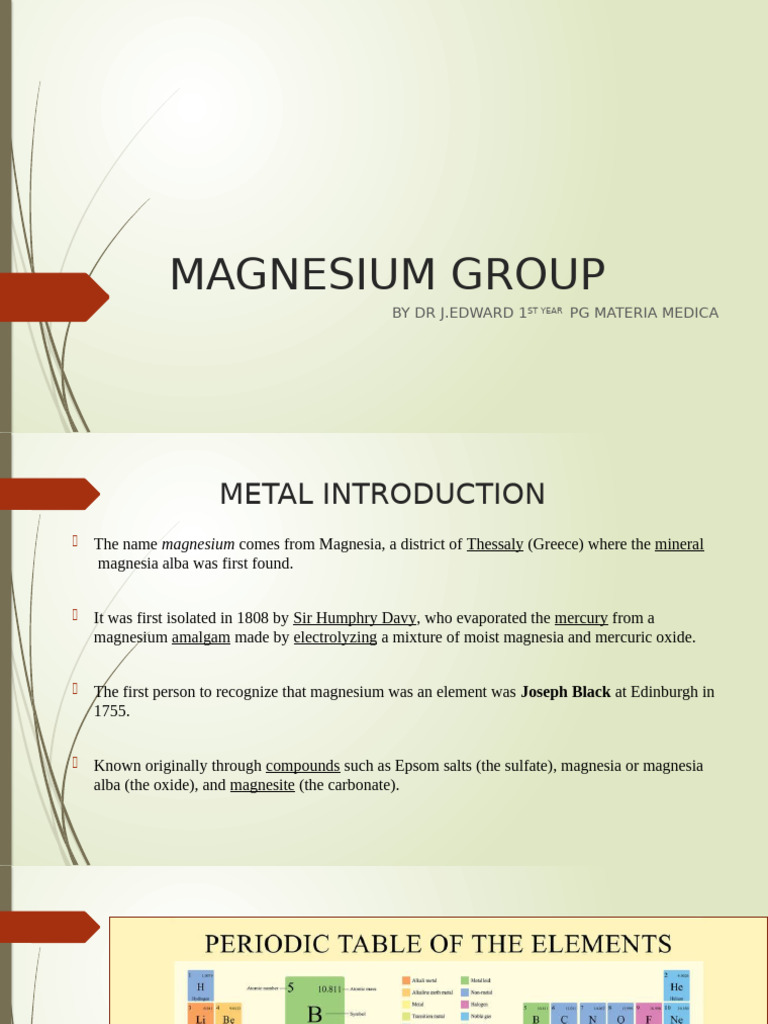 Magnesium Group | PDF