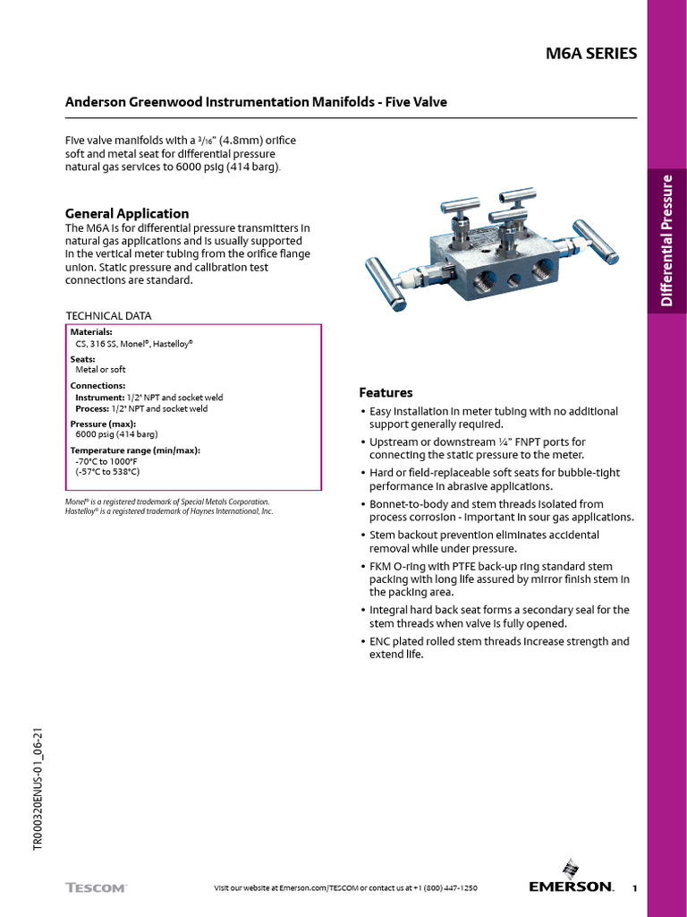 Anderson Greenwood AGCO AGI TESCOM M6A Five-Valve Differential Pressure ...