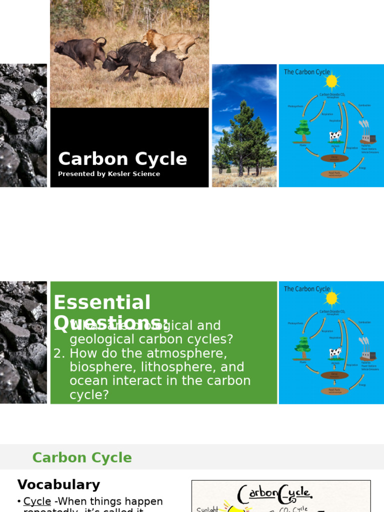 Carbon Cyce Powerpoint | PDF