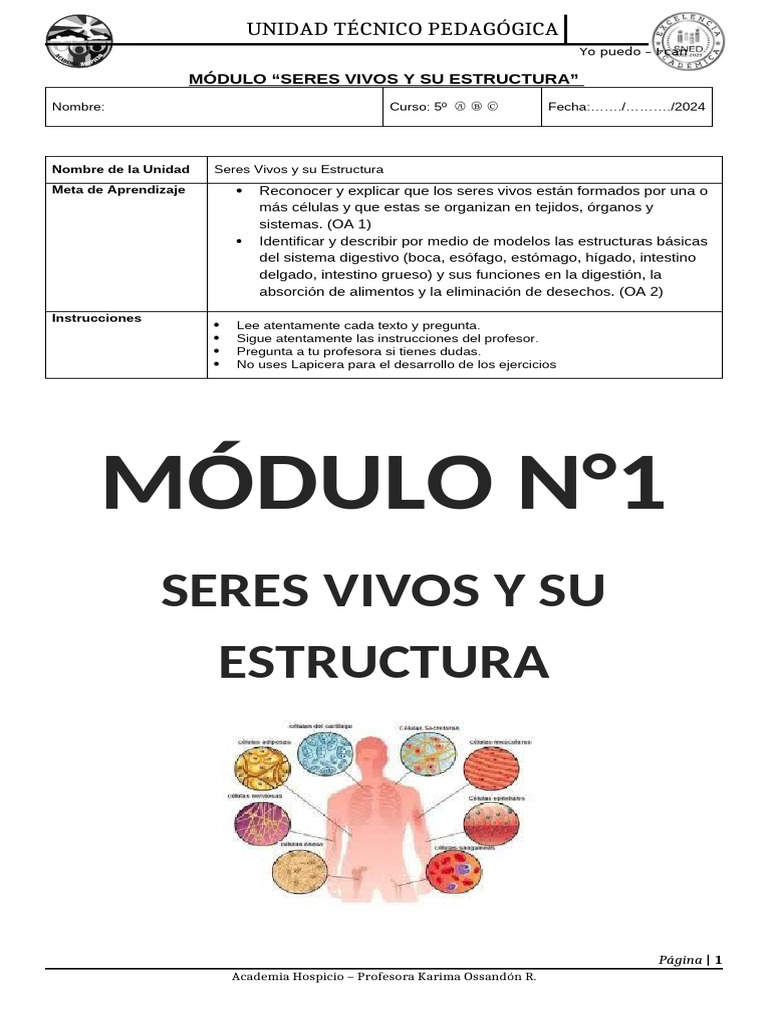 Módulo 1 Ciencias 5to | PDF